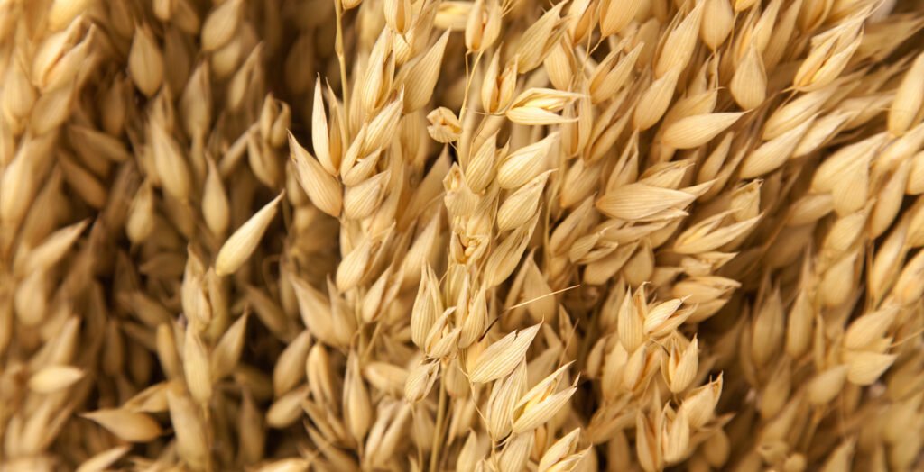 Sobre le avena • Avena Canada
